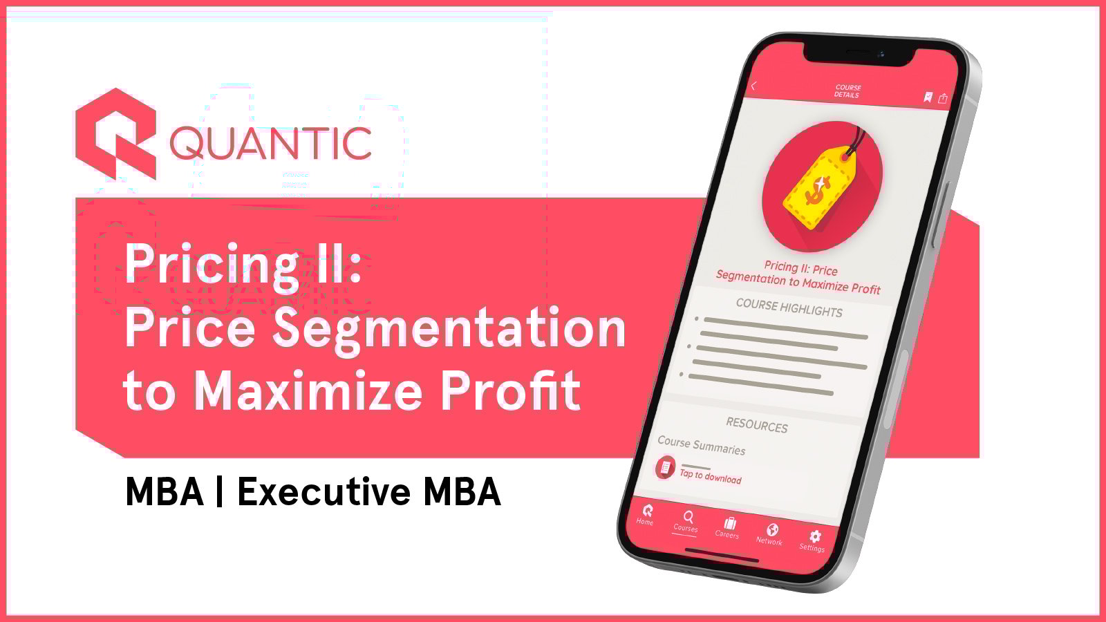 Pricing II: Price Segmentation to Maximize Profit